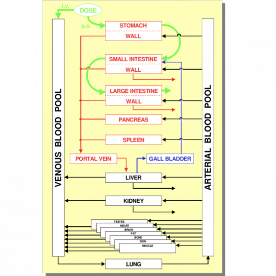 Physiomics | PBPK Modelling